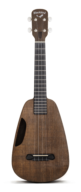 Blackbird Launches Clara, the World's First Concert-Level, Plant-Fiber ...