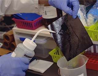 Queensland research: Waterproofing invention ticks all the boxes for ...