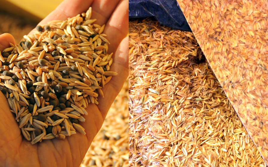 HuisVeenDam's Bio Laminates - Renewable Carbon News