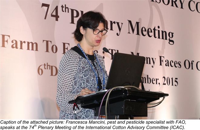 Researchers Strive to Reduce Insecticide Use in Cotton Production ...