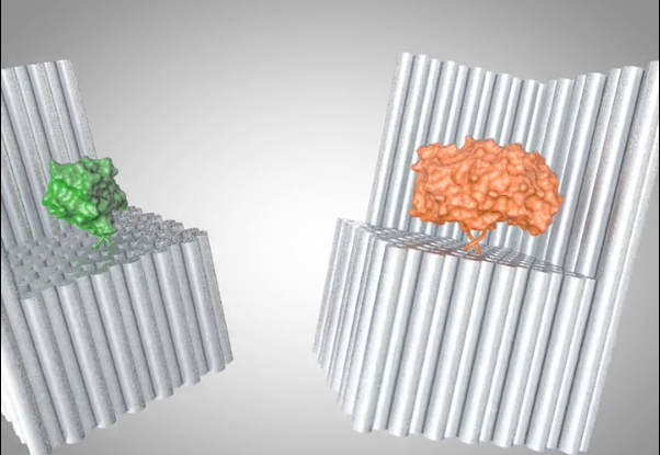 Chemical cages: New technique advances synthetic biology - Renewable ...