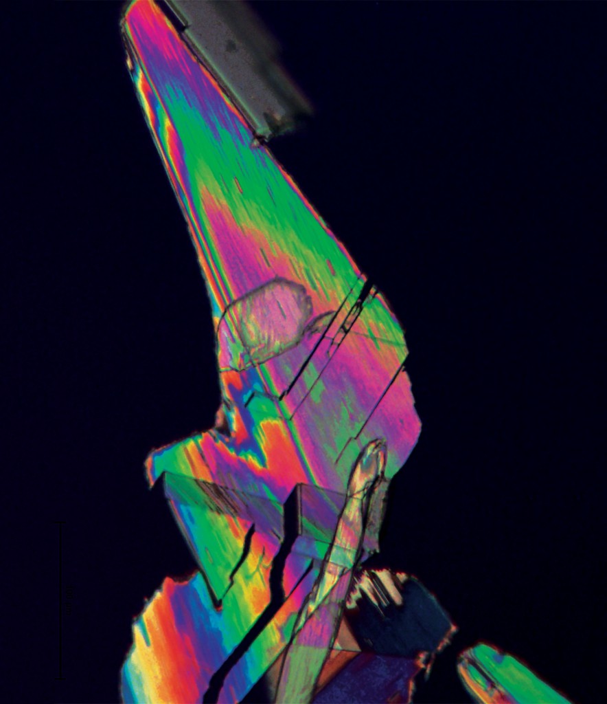 Bio-renewable process could help ‘green’ plastic - Renewable Carbon News