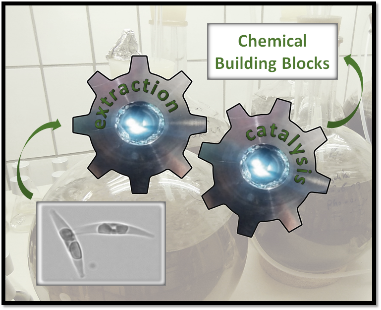 Biorefining of microalgae - Renewable Carbon News