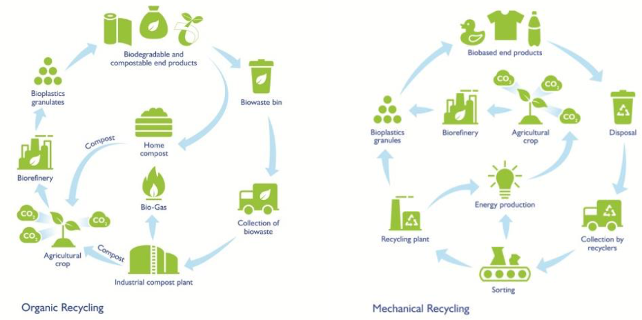 Heading for a circular economy and sustainability with biobased and biodegradable plastics ...