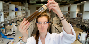 Biomass analysis: the key to success for your biorefinery process ...
