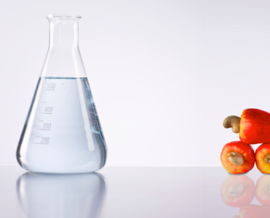 Cashew Nutshells – A valuable Byproduct - Renewable Carbon News