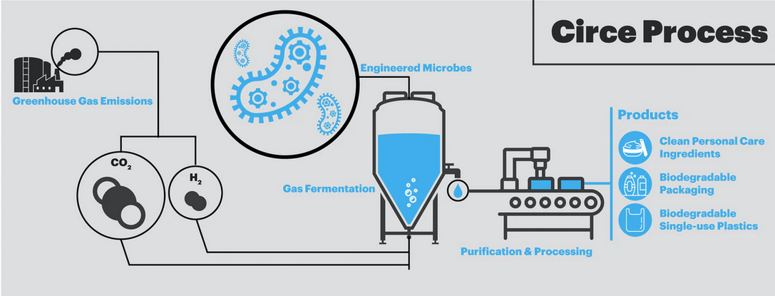 Circe: Biodegradable plastic without the plants - Renewable Carbon News