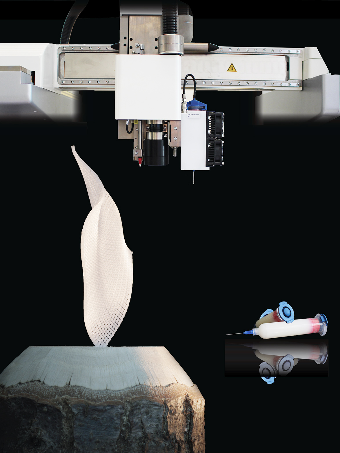 Printing complex cellulose-based objects - Renewable Carbon News