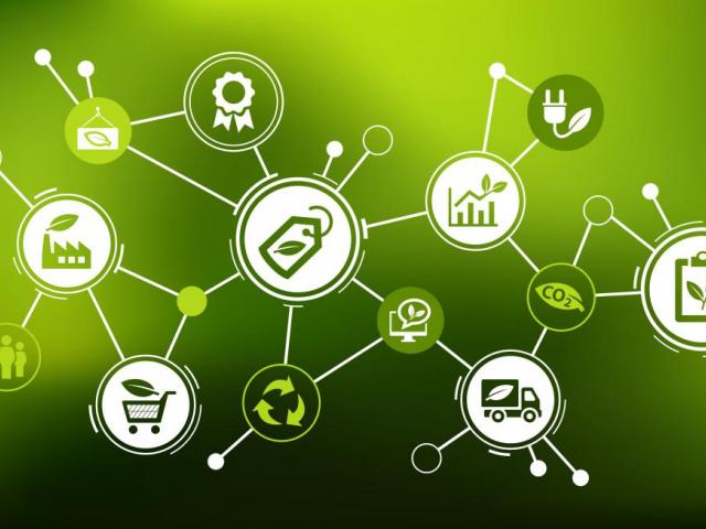 Importance of bio-based value chains emphasised in EU's Strategic ...