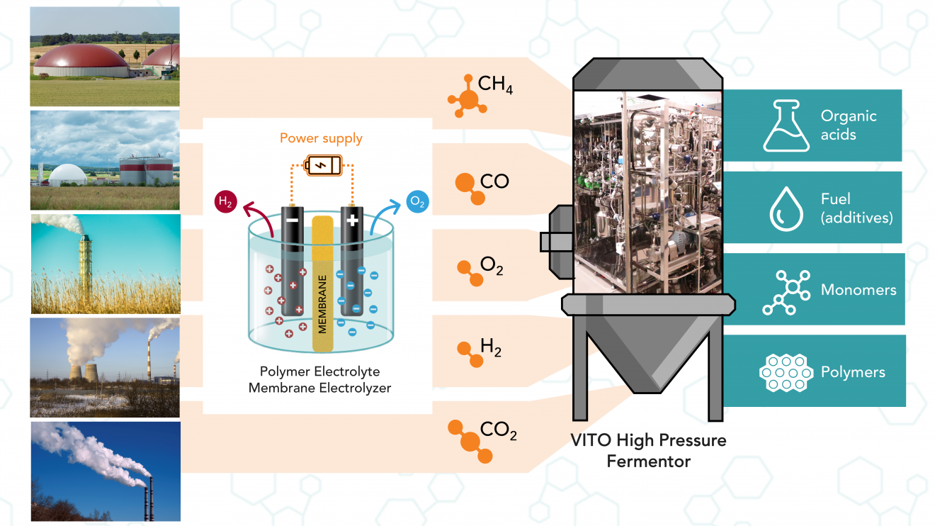 VITO optimises CO2 conversion in the European-funded BioRECO2VER ...