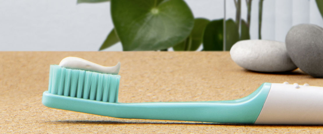 Biobasiertes Polyamid VESTAMID® Terra in Zahnbürsten - Renewable Carbon ...