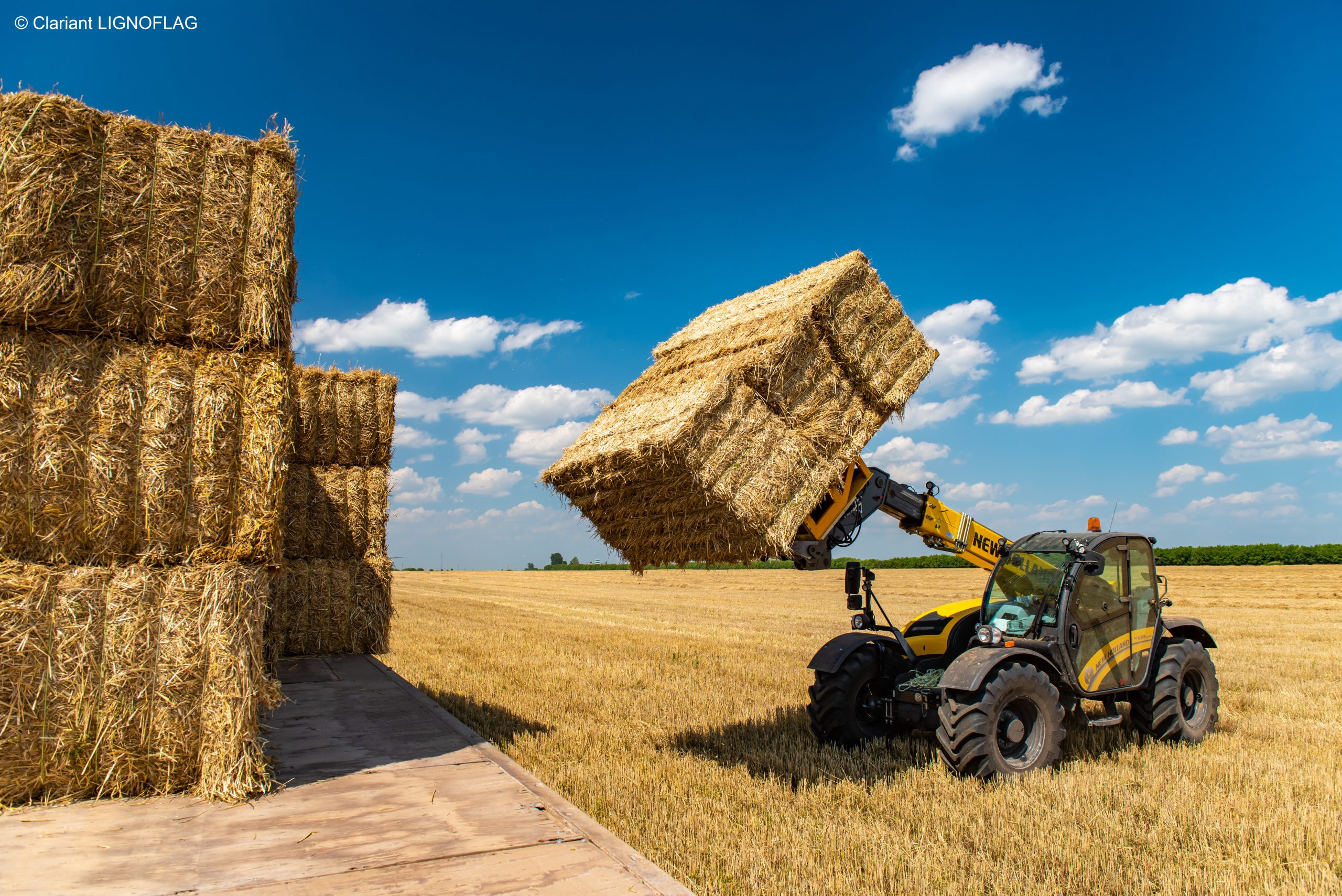 Fighting food waste: BBI JU-funded projects support the EU’s Farm to ...