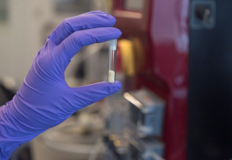 Genecis Bioindustries Inc and Helian Polymers announce cooperation ...