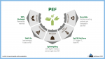 New bio-based polymer PEF shows low CO2 footprint - Renewable Carbon News