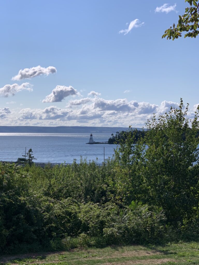 USA launches National Biotechnology and Biomanufacturing Initiative ...