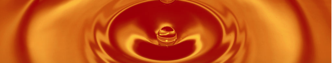 Novel bio-based polyester resin for the composite industry - Renewable ...