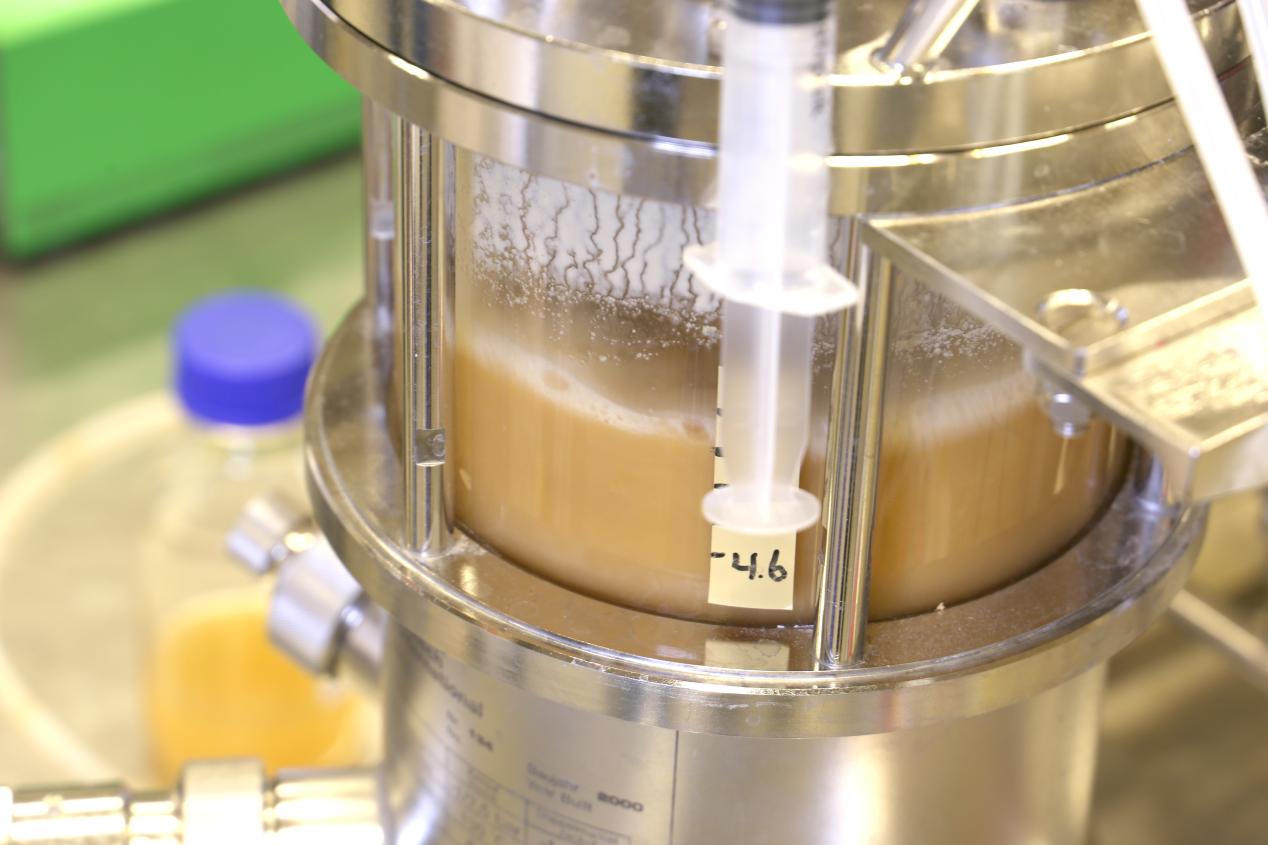 Putting microbes to work and turning carbon from plastic waste into ...