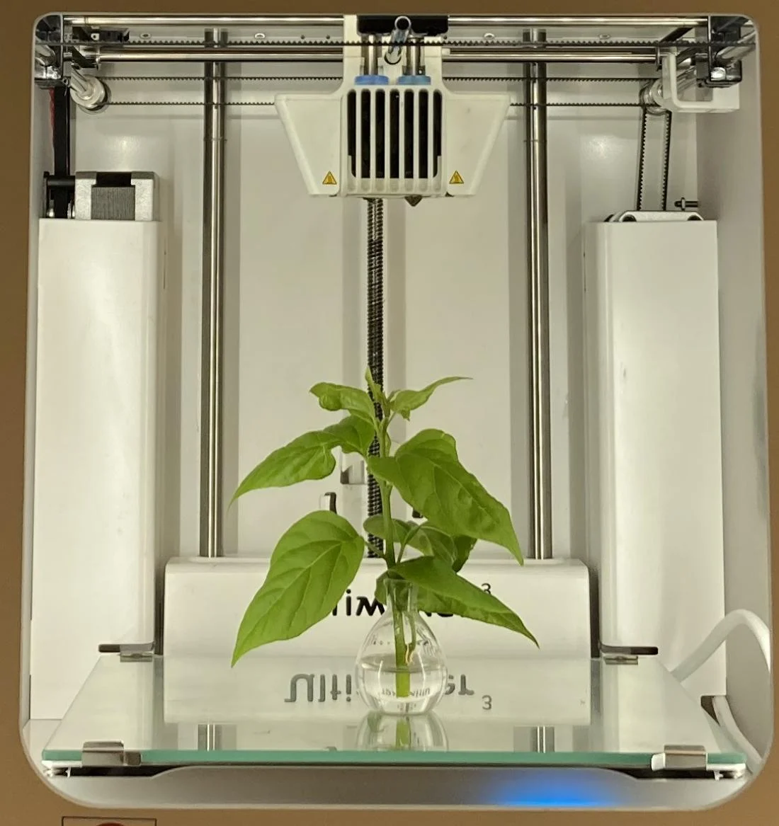 The Green Race: Novel Eco-friendly 3D Printed Composite Materials ...