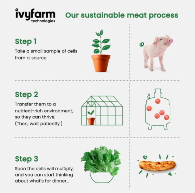 MetGen’s Acceleration: A hat-trick of deals put the lignin pioneer on a ...