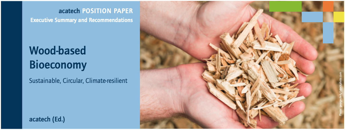 Wood-based Bioeconomy. Sustainable, Circular, Climate-resilient ...