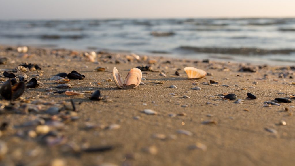 Wood and CuanTec to accelerate circular economy solutions in the UK ...