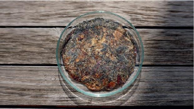Textile and food waste mixes biodegradation for composite mycelium ...