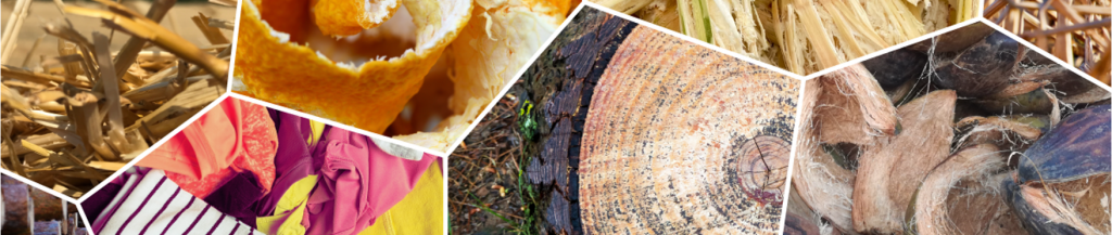 Non-wood fibre is a new innovation frontier for Europe’s paper and ...