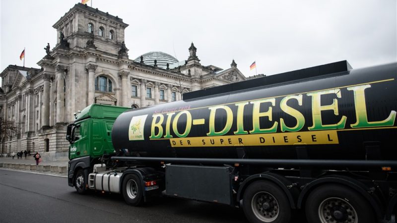 Eat less meat, we need space for biofuels, German producer says ...