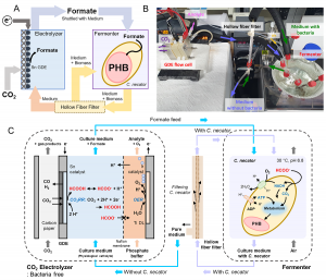 A biohybrid system to extract 20 times more bioplastic from CO2 ...