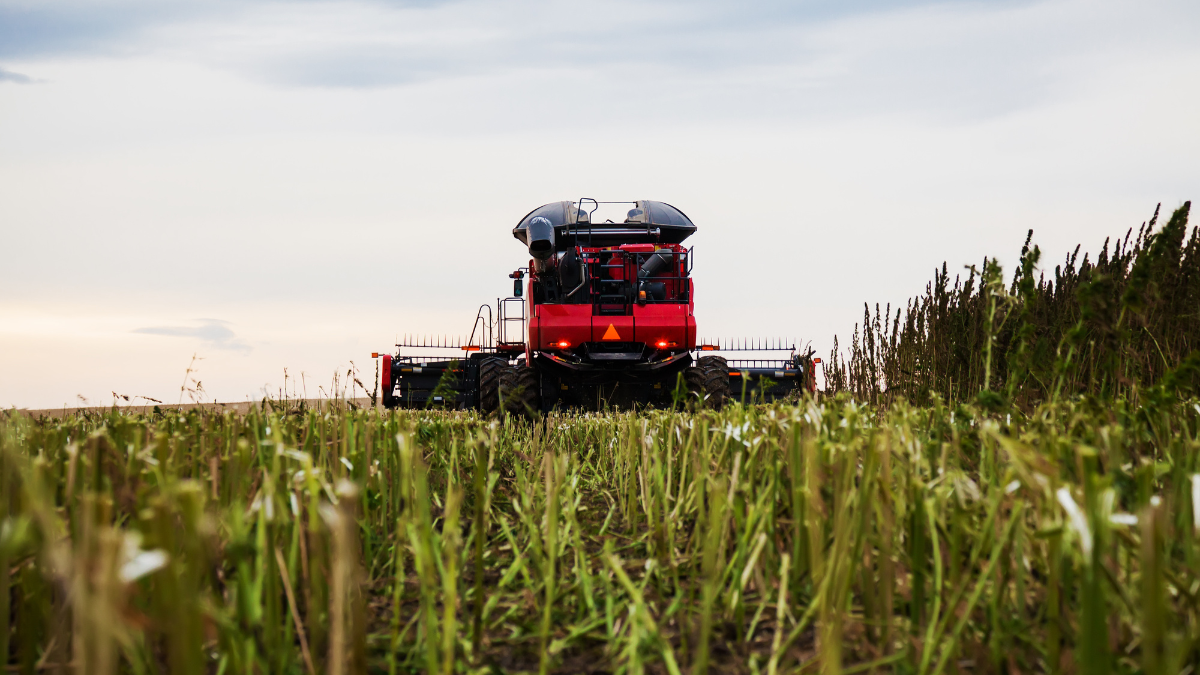 Tester introduces bipartisan bill to deregulate industrial hemp ...
