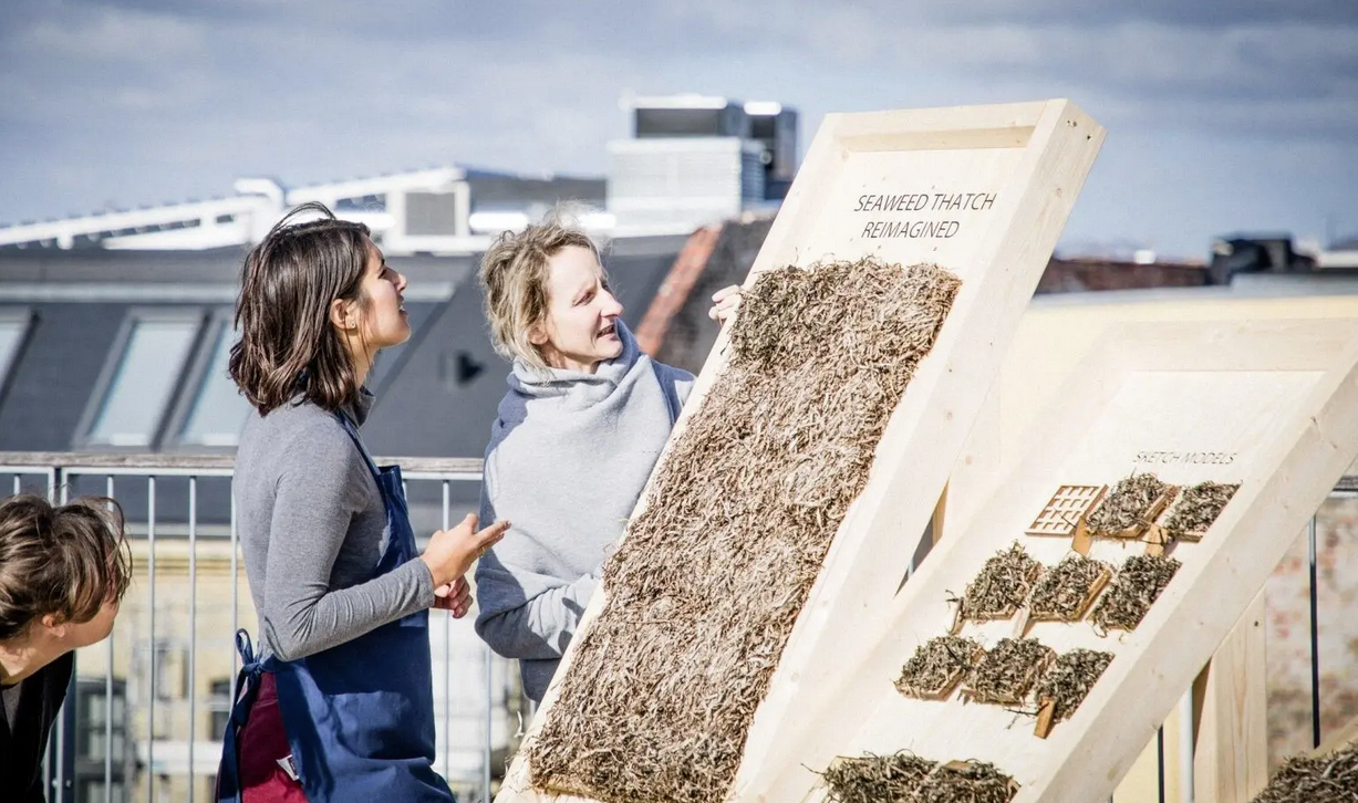 Workshops in Tallinn show how to use local algae in construction ...