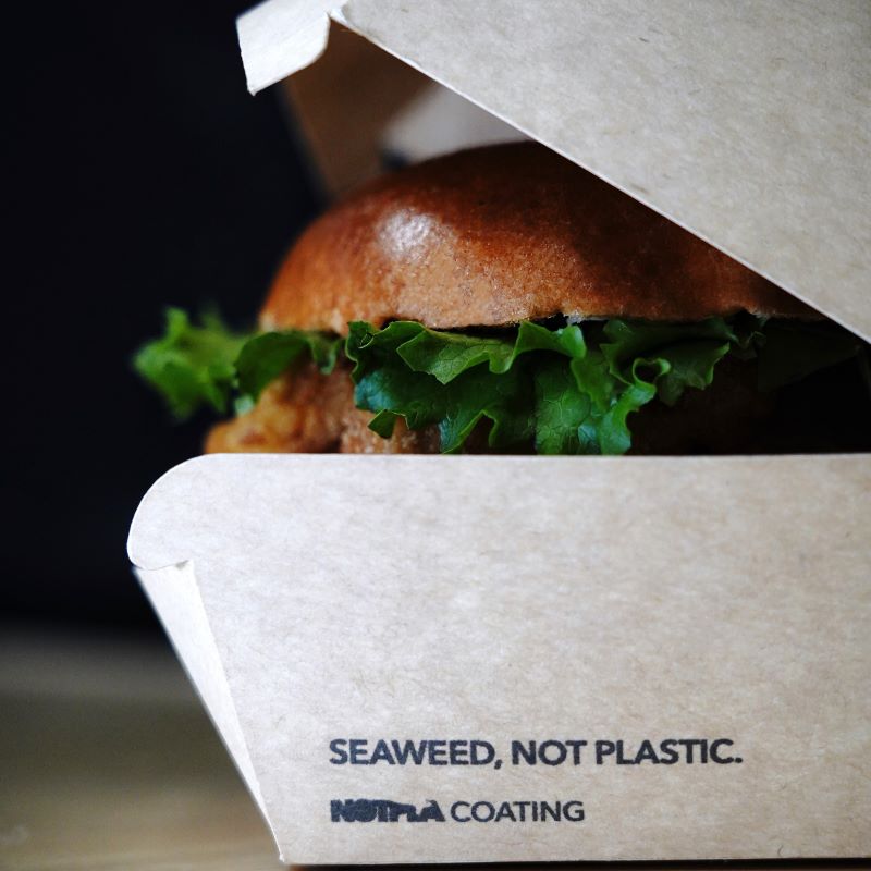 Single-Use Plastics Directive: Notpla identifies “huge loopholes” while ...