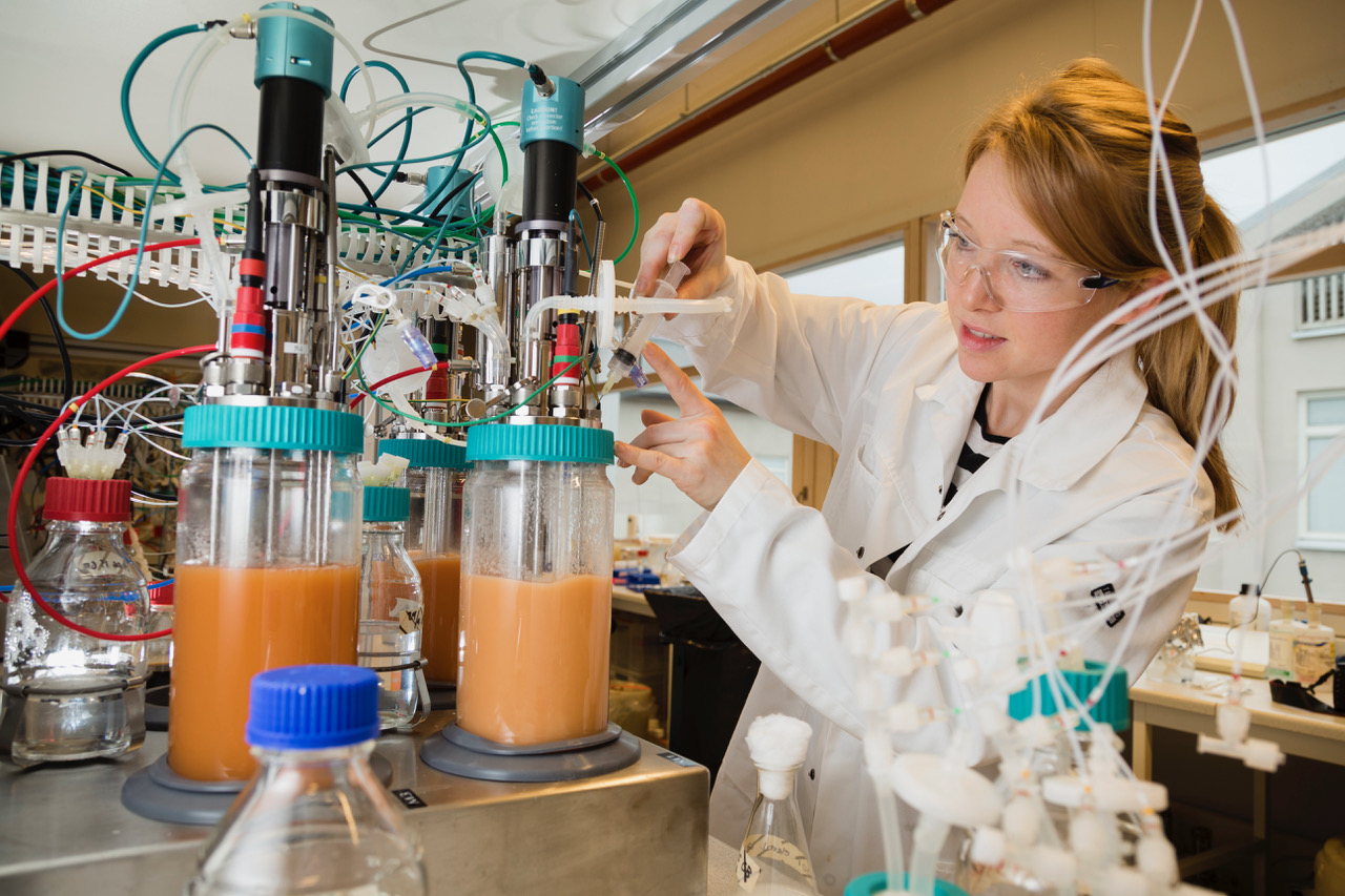 Painting a Bio-Based Future with Microbially Produced Alginates, Lipids ...