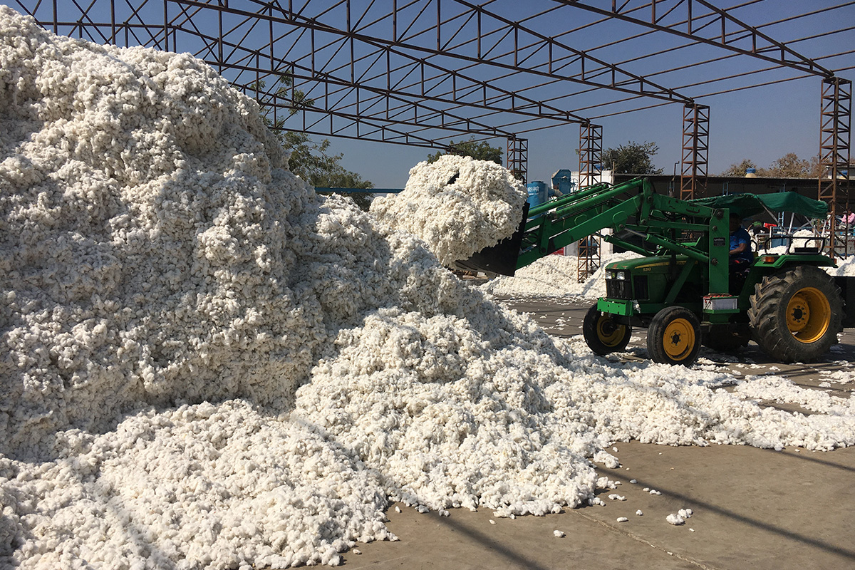 Yagi Launching Cotton iD, a proprietary system for clarifying the ...