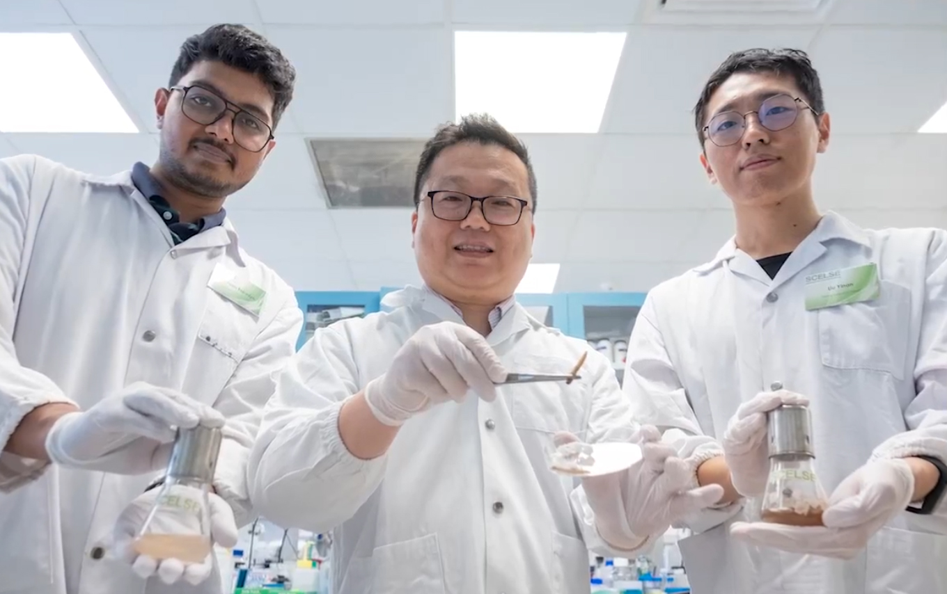 NTU Scientists develops artificial 'worm gut' that breaks down plastics ...
