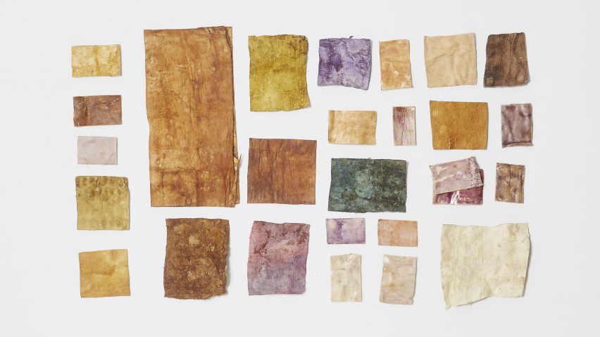 Food-waste dyes bring colour to mycelium leather in Sages and Osmose ...