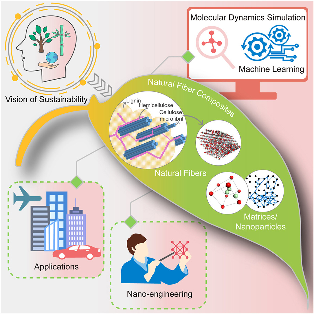 Exploring the development and applications of sustainable natural fiber ...