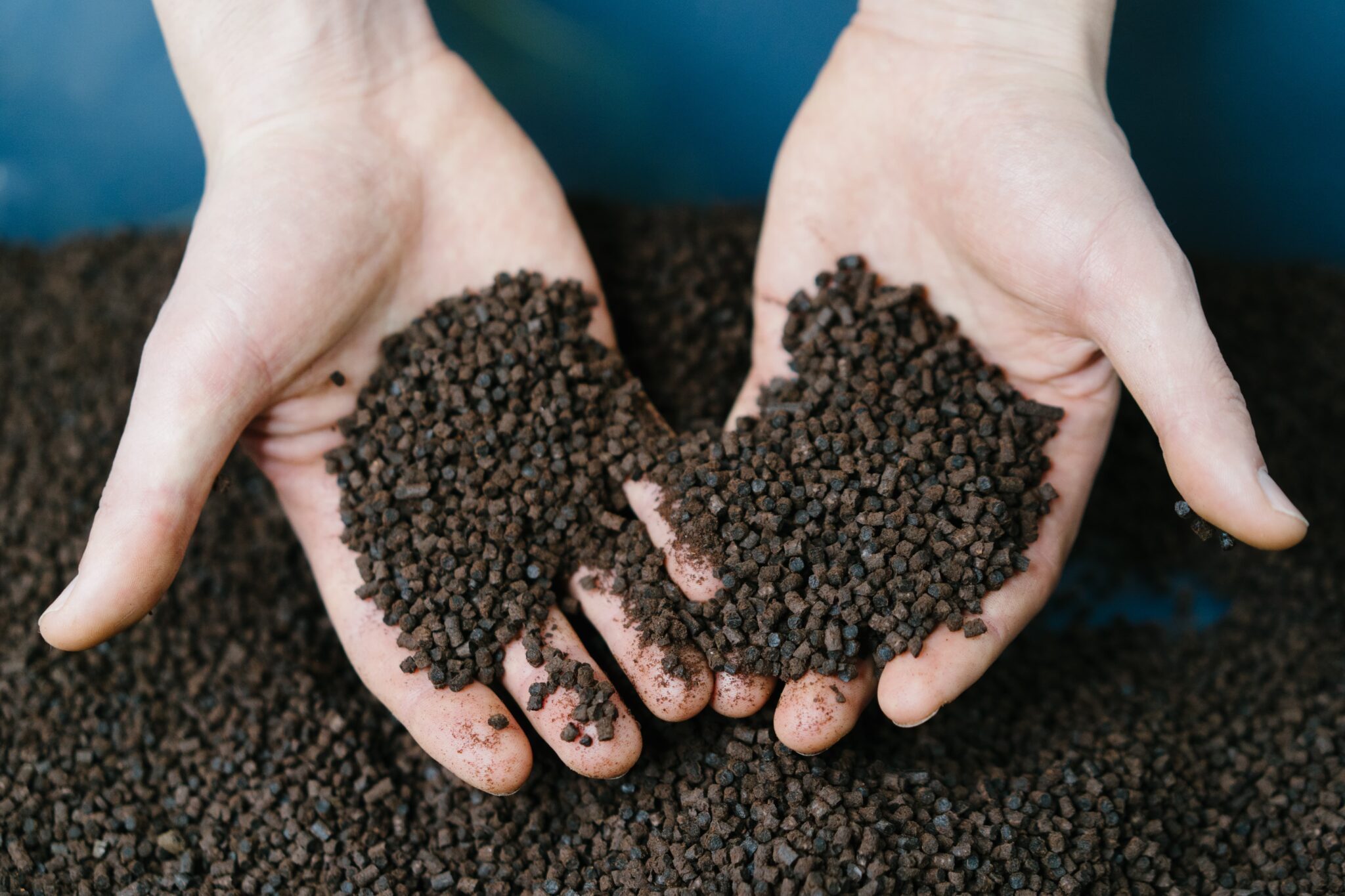 Bpacks Launches World’s First Bark-Based Packaging Technology to ...