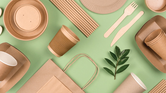 5 Eco-friendly Swaps You Can Make to Replace Single-Use Plastics ...