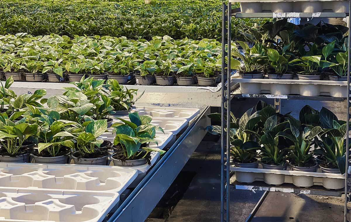 Sweden’s largest grocery retailer cuts down on plastic by introducing ...