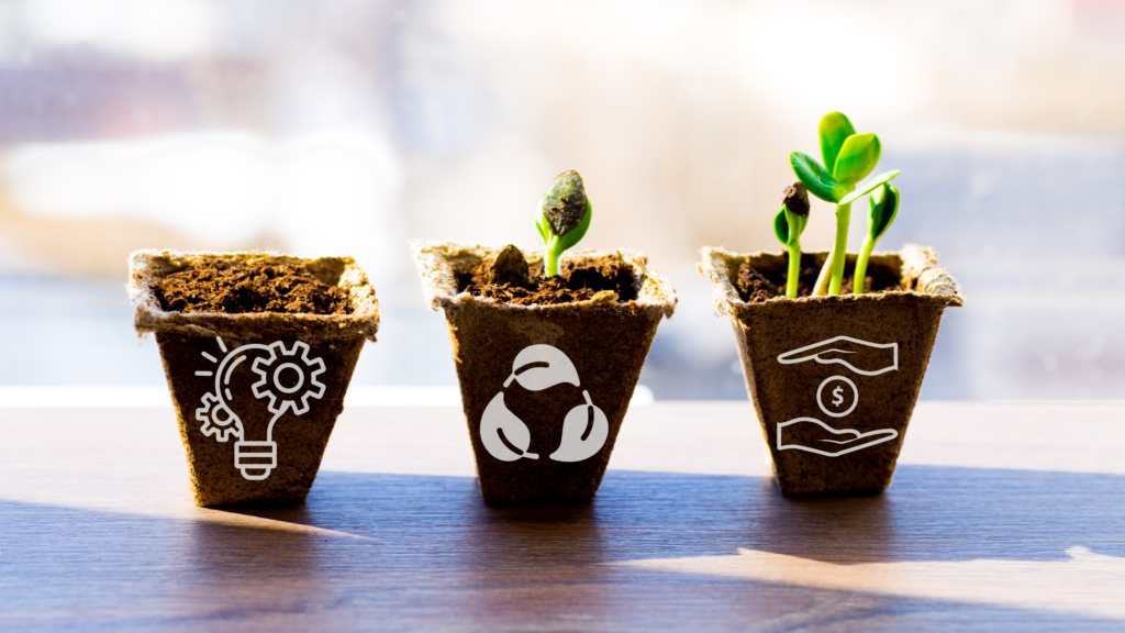 What innovations for affordable biodegradable materials? - Renewable ...