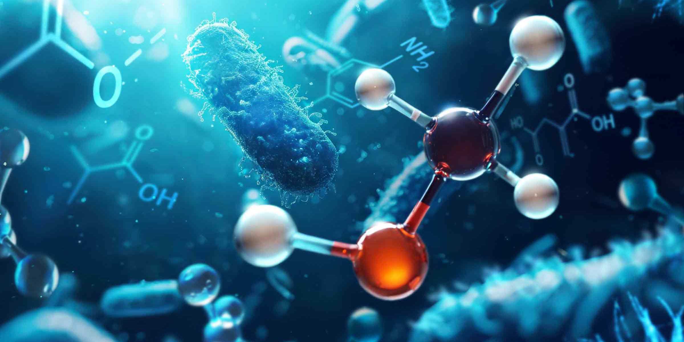 Bacteria for climate-neutral chemicals of the future - Renewable Carbon ...