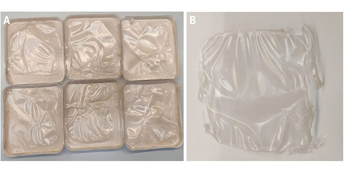 Researchers invent one hundred percent biodegradable Researchers invent one hundred percent biodegradable