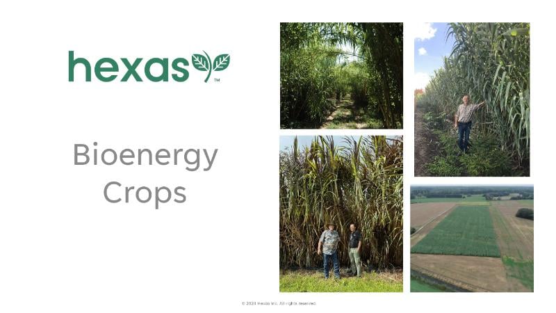The Digest’s 2024 Multi-Slide Guide to Hexas Biomass - Renewable Carbon ...