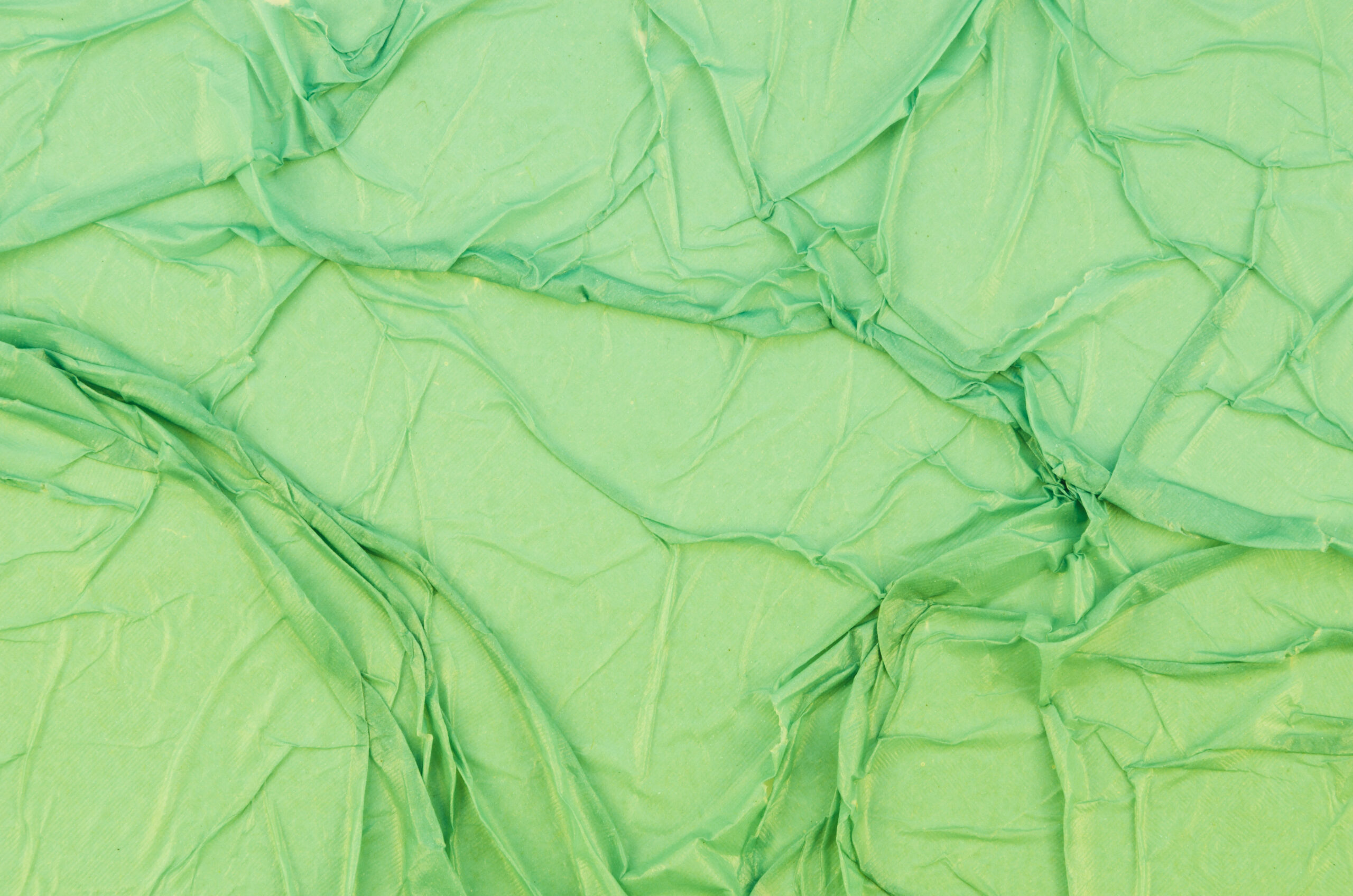 CSIR showcases locally developed compostable, bio-based plastic ...