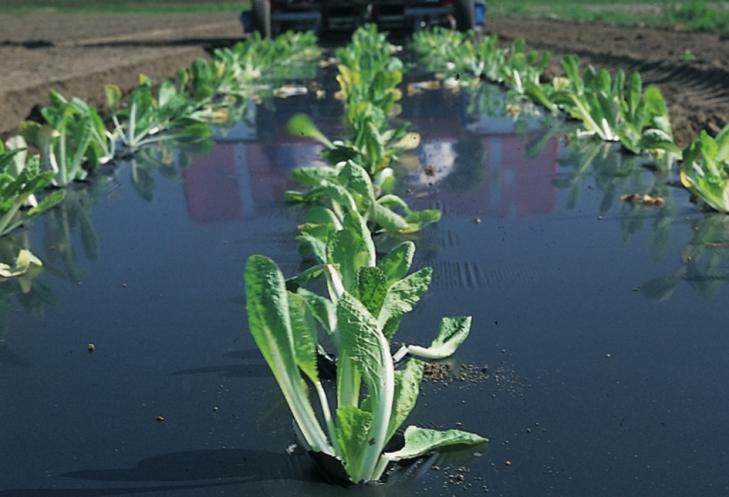 EUBP welcomes the inclusion of soil-biodegradable products in the EU ...