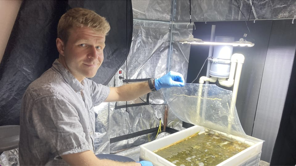 Brno scientists are testing use of algae in water purification ...