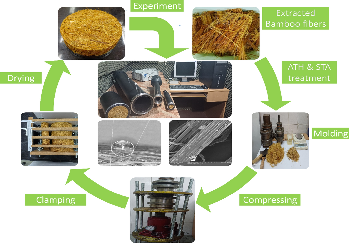 Improving the thermal and hydrophobic properties of bamboo biocomposite ...