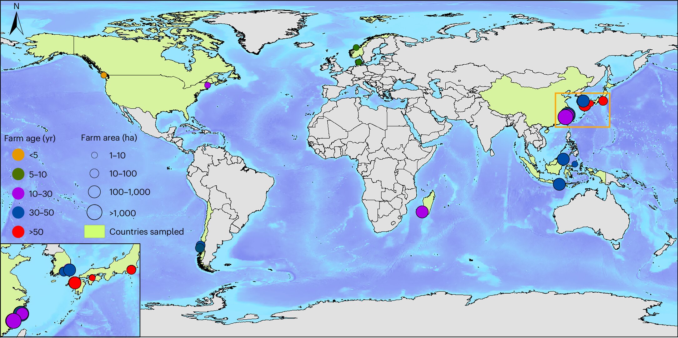 Seaweed farms show potential for carbon storage that gets better with ...