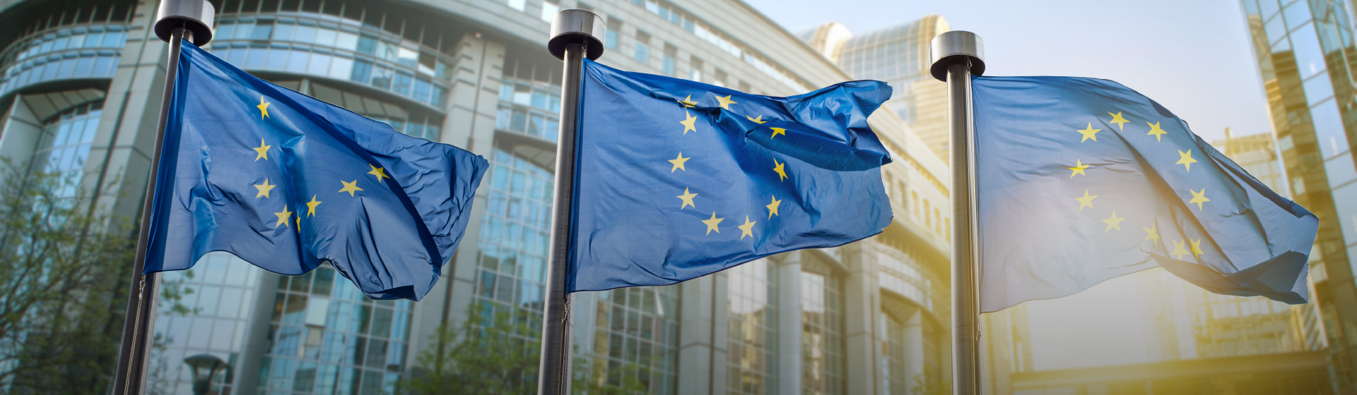 EU Enforces Ambitious Packaging and Recycling Rules as New Packaging ...